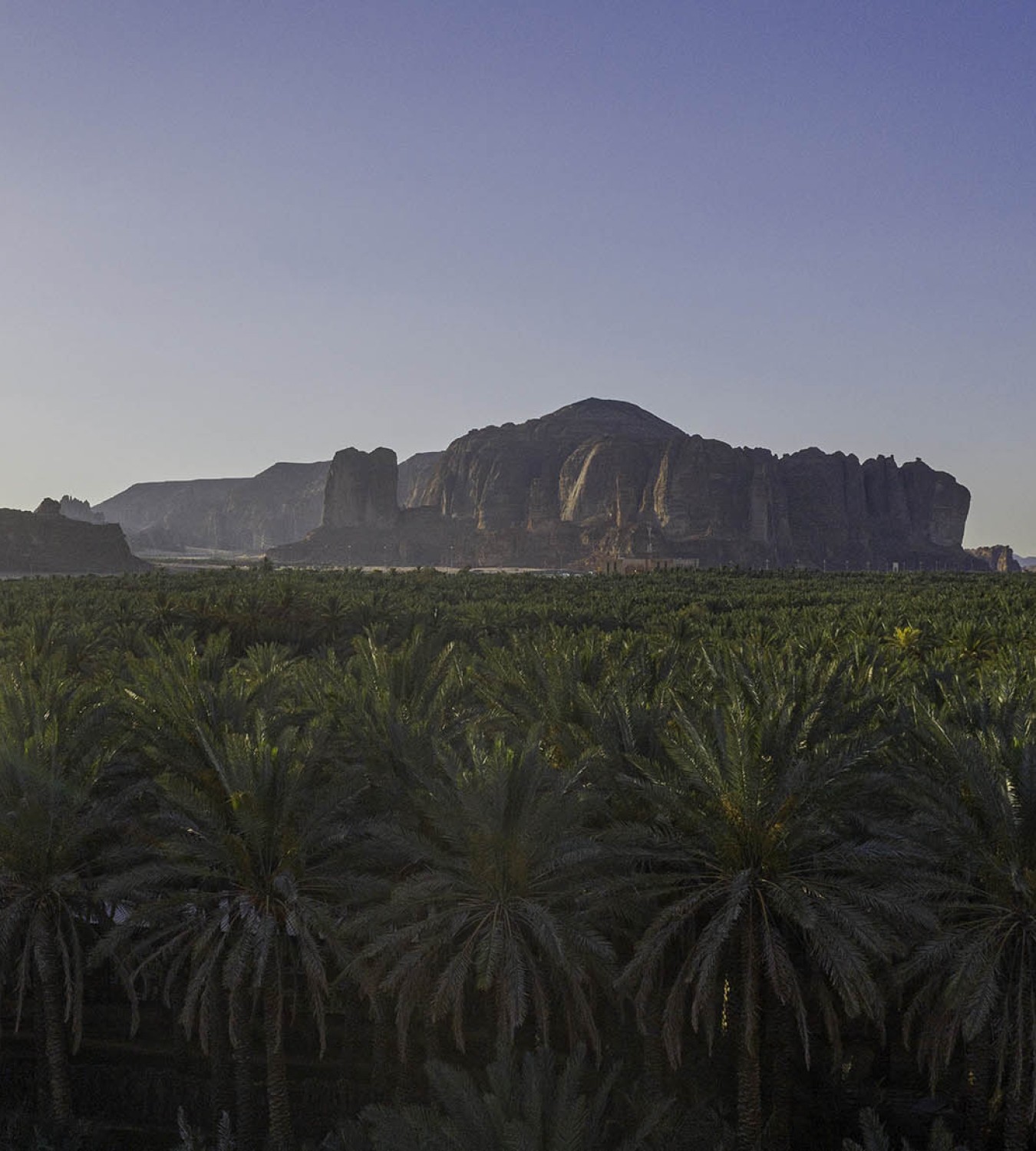 Manifesto | Manifesto is working with the Royal Commission for AlUla ...